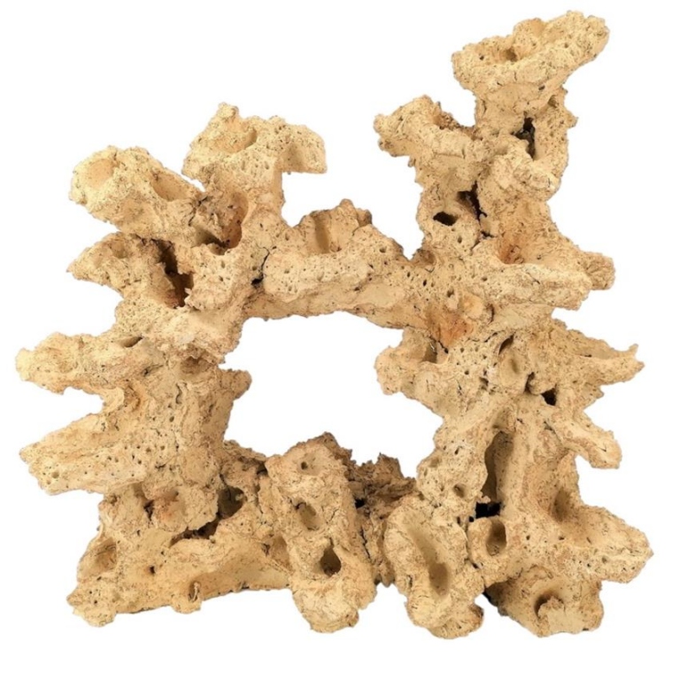 Home · Abyss Aquatics UK Based in Stockport, Greater Manchester.