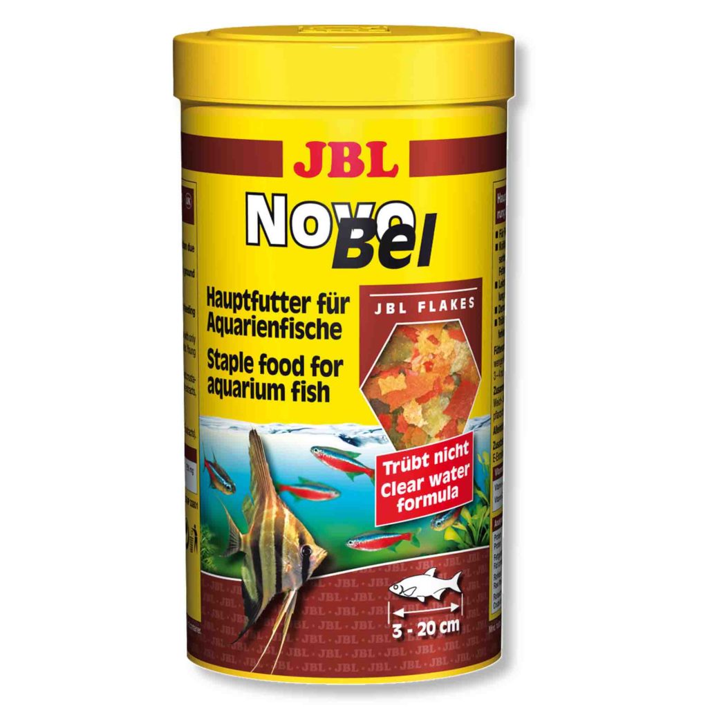 Shop Online for Synodontis · Abyss Aquatics UK