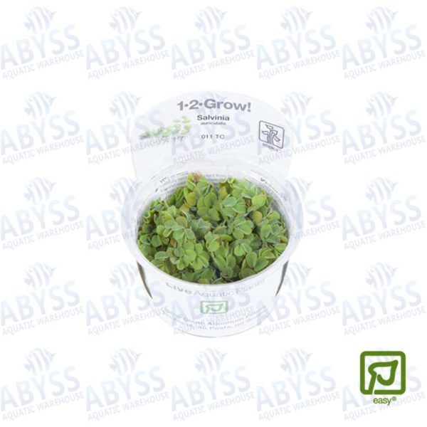 Shop Online for Tropical aquarium plants · Abyss Aquatics UK