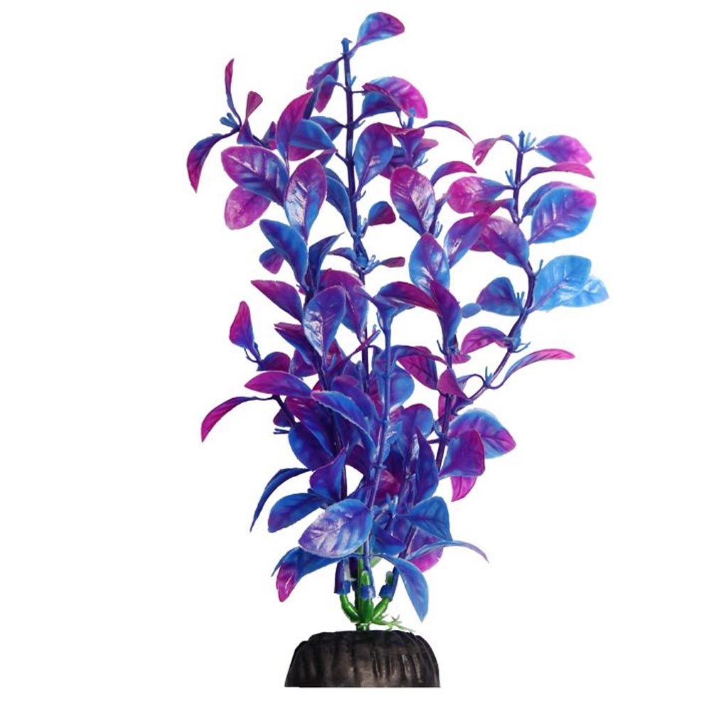 Aqua One Brightscape Medium Hygro Blue 28419 | Fast Delivery Abyss ...