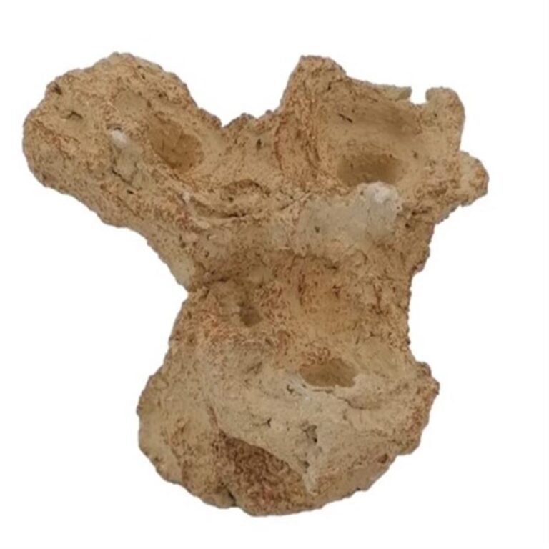 Aquaroche Zoa Garden Rock Nano 540001 | Fast Delivery Abyss Aquatics UK