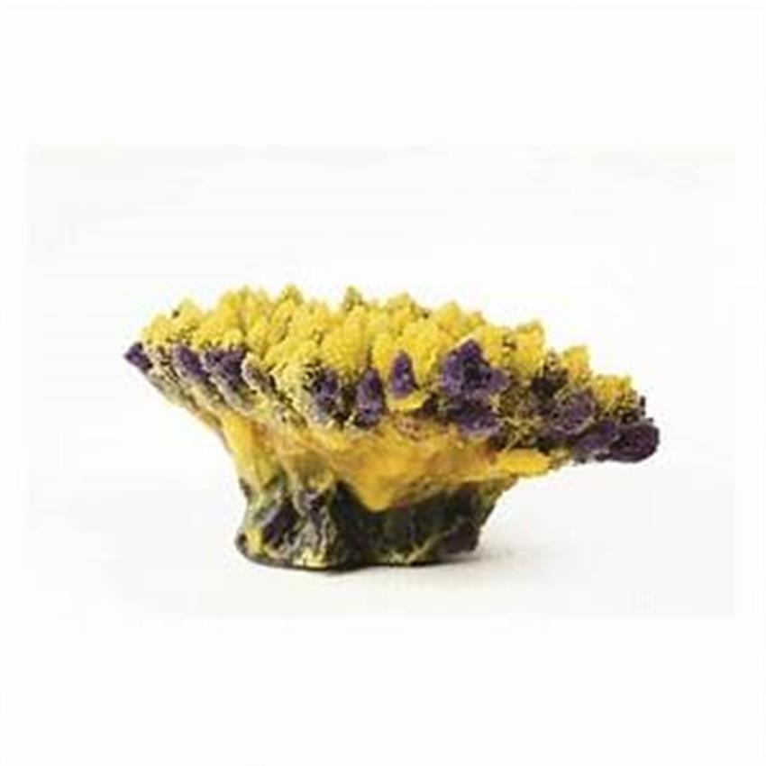 Natureform Coral Staghorn Yellow Purple Acropora Table 9783 | Abyss ...