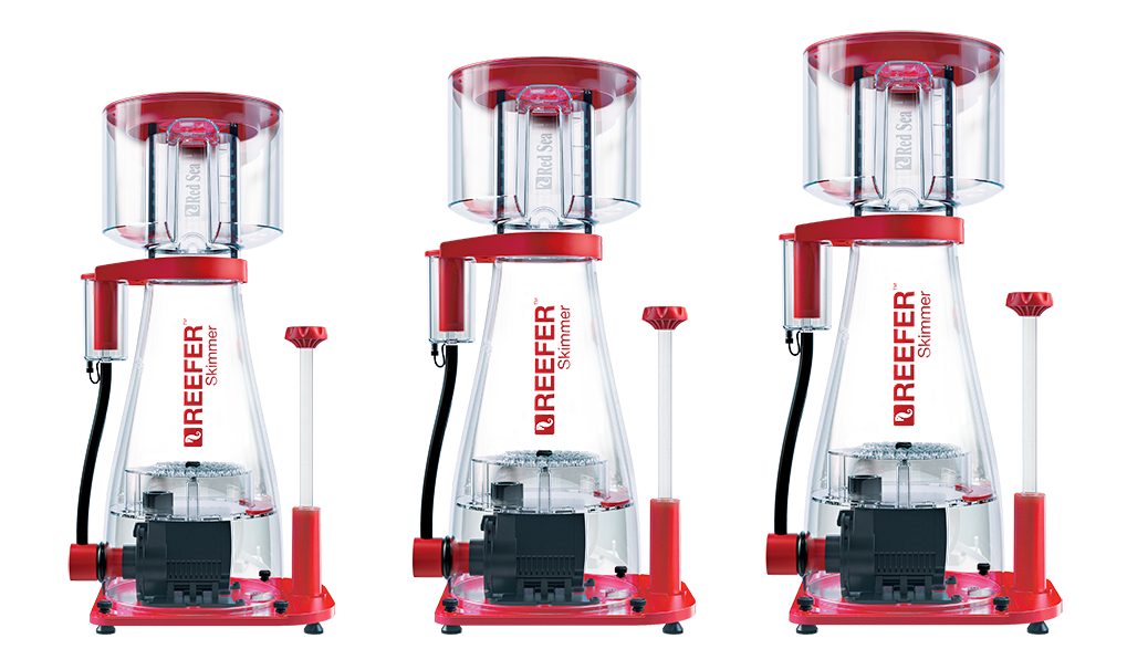 Home · Abyss Aquatics UK Based in Stockport, Greater Manchester.